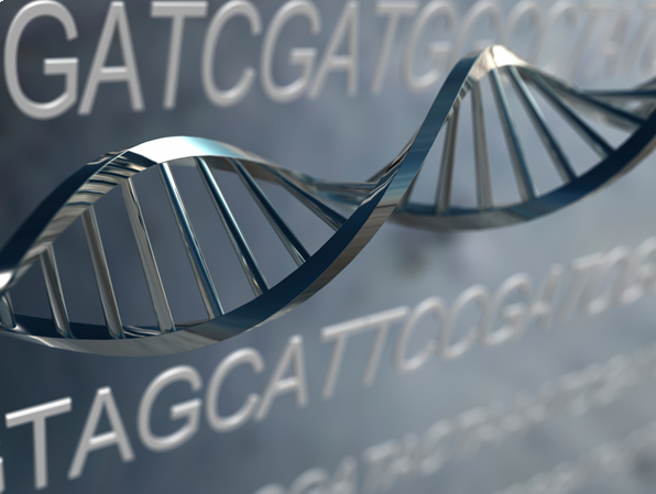 The history of SoftMouse: Mouse Colony and Breeding Management Software