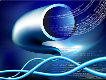 The history of SoftMouse: Mouse Colony and Breeding Management Software