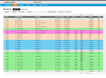The history of SoftMouse: Mouse Colony and Breeding Management Software
