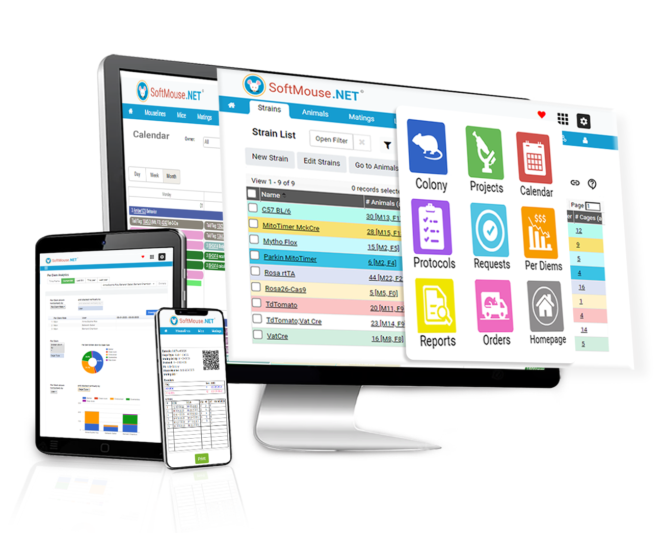SoftMouse.NET’s Colony: Your Digital Vivarium in the Cloud