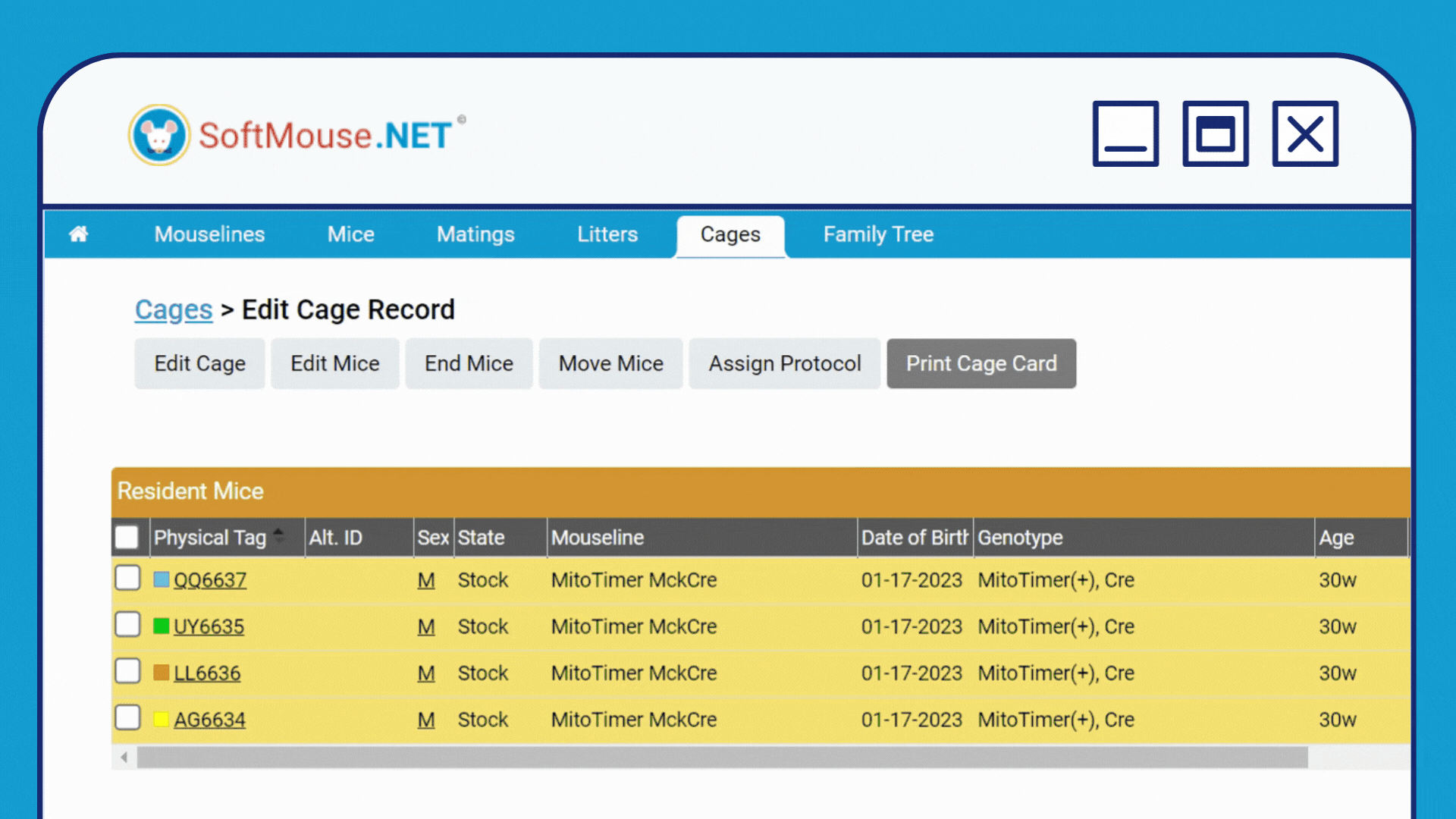 SoftMouse.NET’s Colony: Your Digital Vivarium in the Cloud